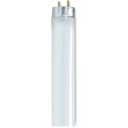 25W T8 4100K Fluorescent Bulb by Satco® SDNS8440 | OnTimeSupplies.com