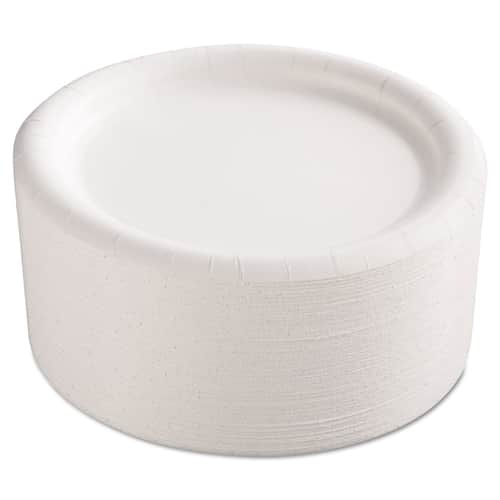 Premium Coated Paper Plates by AJM Packaging Corporation AJMCP9AJCWWH14 ...